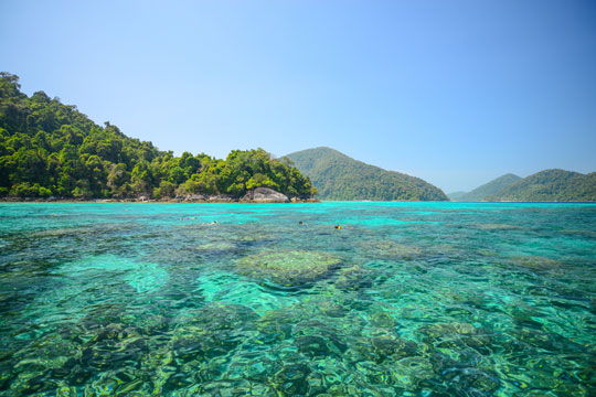 Surin Island Scuba Diving - Liveaboard Trips | Dive The World Thailand